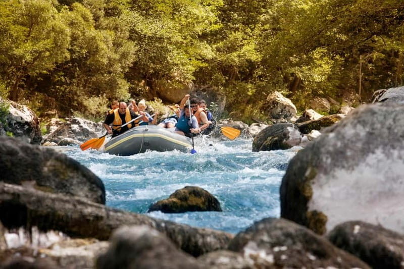 From Budva: Full-Day Tara River Rafting Trip With Lunch - What to Expect from the Tara River Rafting Tour