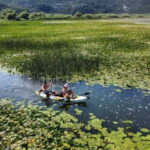 From Budva: Skadar Lake Land and Boat Tour - Who This Tour Is Best For