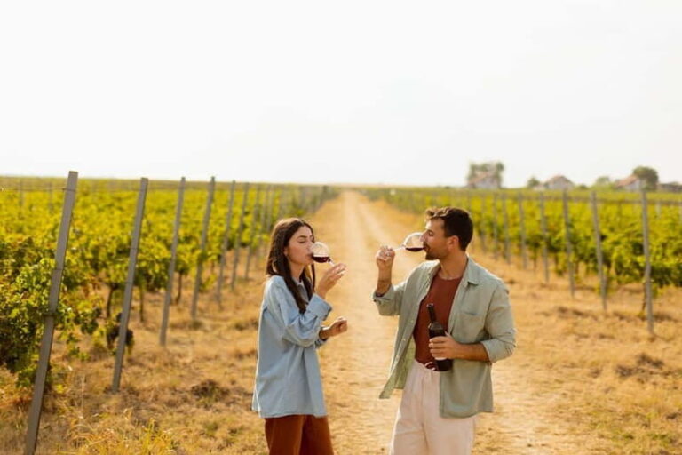 From Cádiz: Chiclana de la Frontera Winery Tour with Lunch - A Closer Look at the Tour Experience