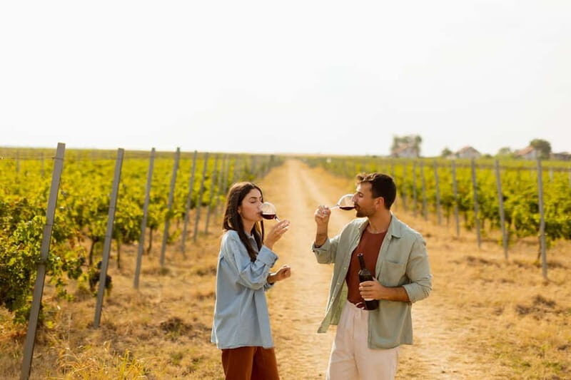 From Cádiz: Chiclana de la Frontera Winery Tour with Lunch - A Closer Look at the Tour Experience