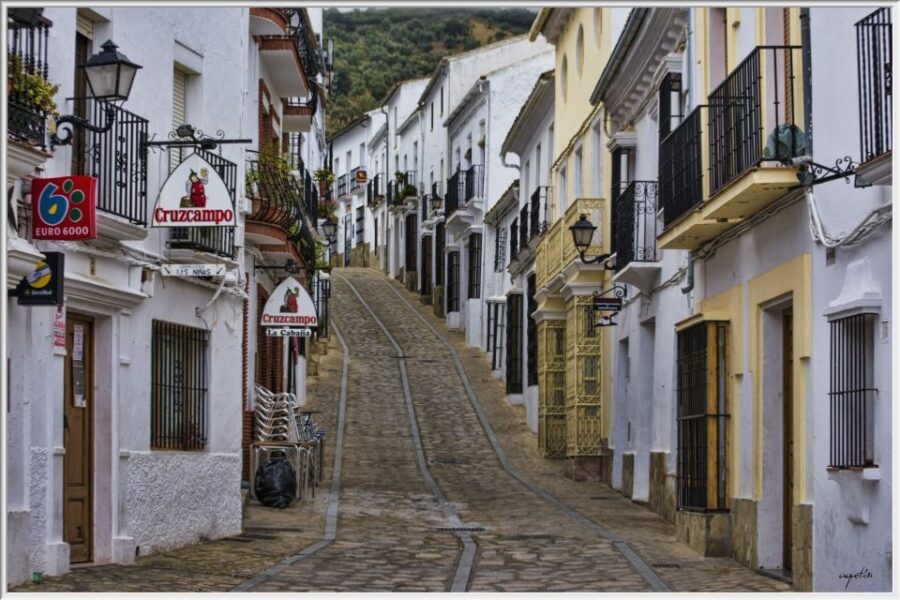 From Cadiz: Private Tour of Cadiz and Jerez de la Frontera - What to Expect for a Typical Day