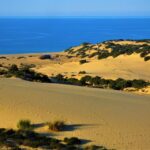 From Cagliari: Piscinas Old Mines and Montevecchio Tour - What the Tour Includes and What to Keep in Mind