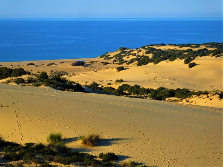 From Cagliari: Piscinas Old Mines and Montevecchio Tour - What the Tour Includes and What to Keep in Mind