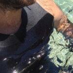 From Cala Gonone: snorkeling in the Orosei Gulf - The Itinerary: What to Expect