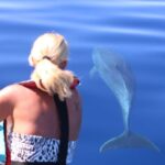 From Calheta: Whale and Dolphin Watching RIB Boat Tour - Key Points