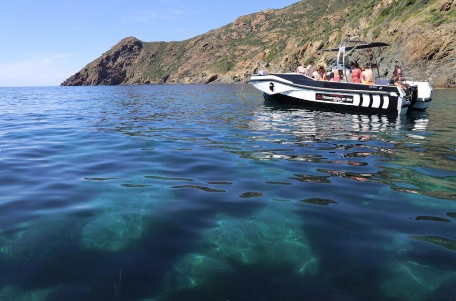 From Calvi: 2-Hour Sunset Cruise to Revellata Peninsula - Who Will Enjoy This Tour?