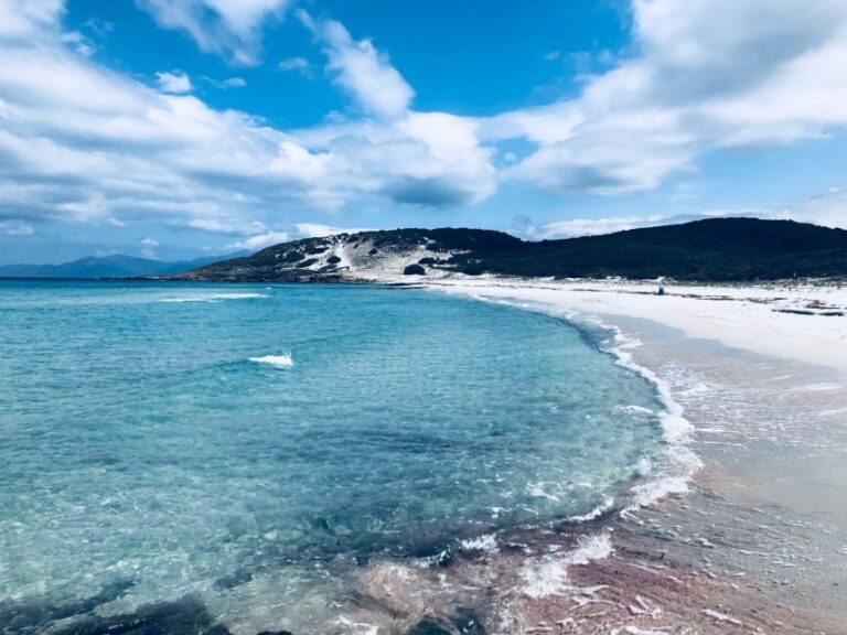 From Calvi: 4x4 Day Tour Mountain & Agriates' Saleccia Beach - Drive Up to 1200 Meters for Panoramic Views