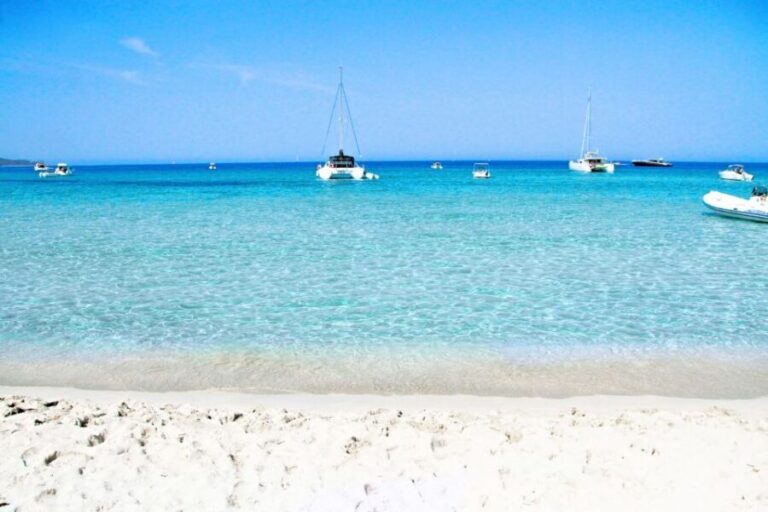 From Calvi: Agriate Guided Jeep Tour to Lotu and Saleccia - FAQ