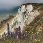 From Cambridge: Guided day trip to Brighton & Beachy Head - The Value of Organized Travel
