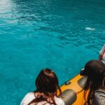 From Can Picafort: Dolphin Watching and Cave Boat Trip - What to Expect from the Tour