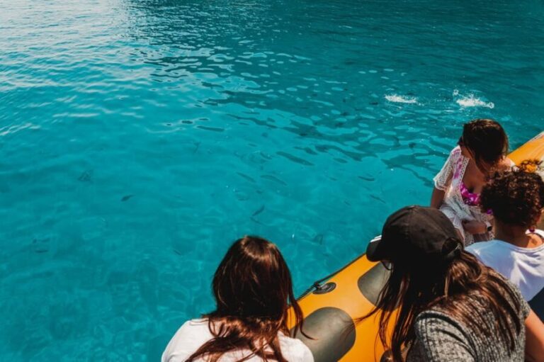 From Can Picafort: Dolphin Watching and Cave Boat Trip - What to Expect from the Tour