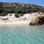 From Cannigione: Catamaran tour in La Maddalena Archipelago - A Detailed Look at the Catamaran Experience