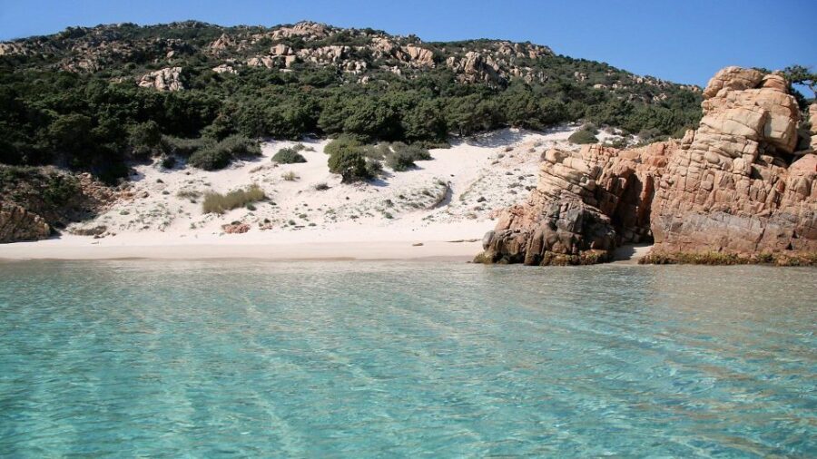 From Cannigione: Catamaran tour in La Maddalena Archipelago - A Detailed Look at the Catamaran Experience