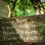 From Cardiff: Mumbles, Three Cliffs, Worms Head Gower Tour - Analyzing the Value: Price and Experience