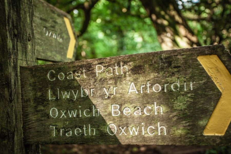 From Cardiff: Mumbles, Three Cliffs, Worms Head Gower Tour - Analyzing the Value: Price and Experience