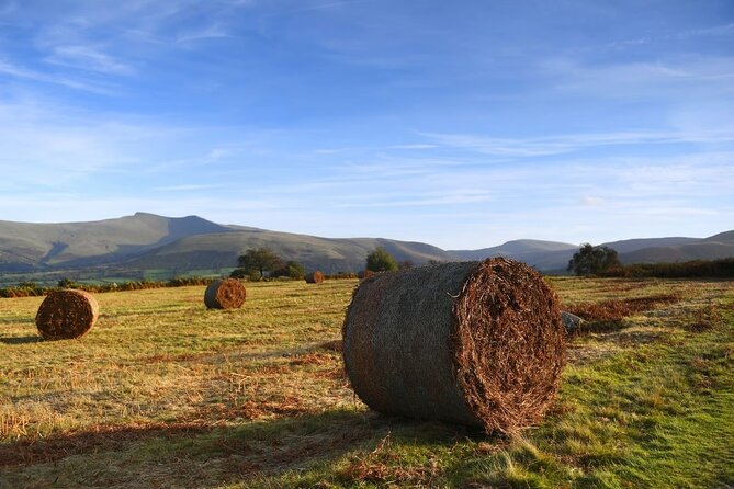 From Cardiff: The Valleys Heritage And South Wales Landscapes - Cardiff to the Valleys: An Authentic Journey through South Wales’ Heritage and Landscapes