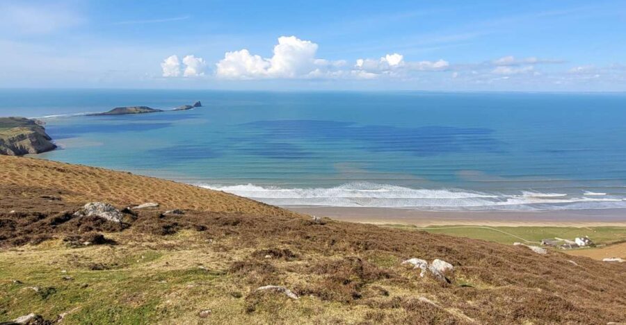 From Cardiff: The Wandering Bard's Swansea Bay Day Tour - Price and Value
