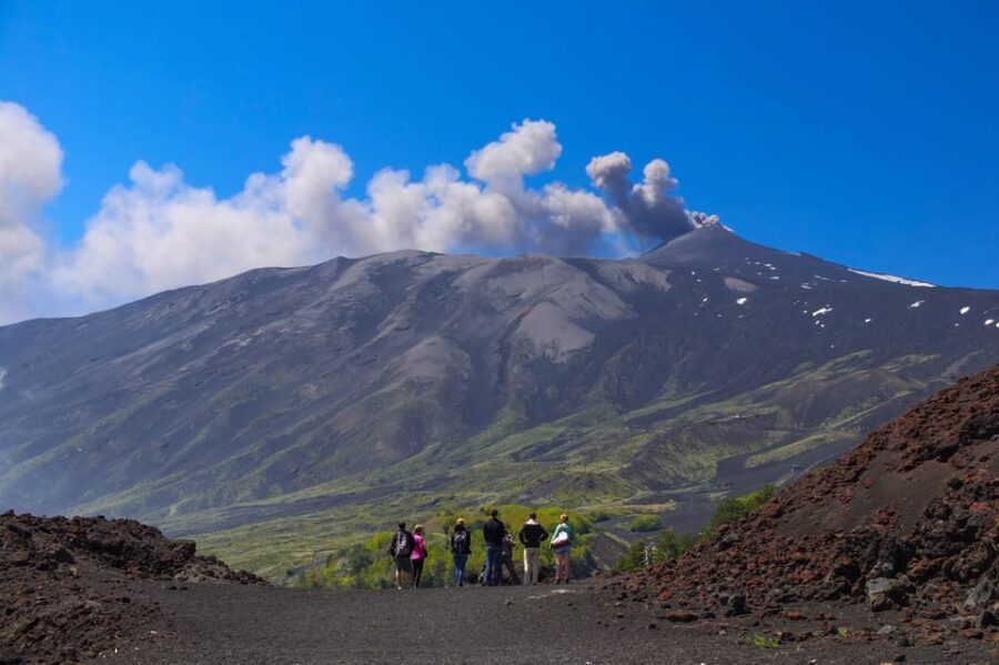 From Catania: Etna Volcano Guided Morning Tour - The Practical Side: Price, Comfort, and Accessibility