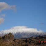 From Catania: Mount Etna Half-Day Tour and Wine Experience - Timing and Practicalities