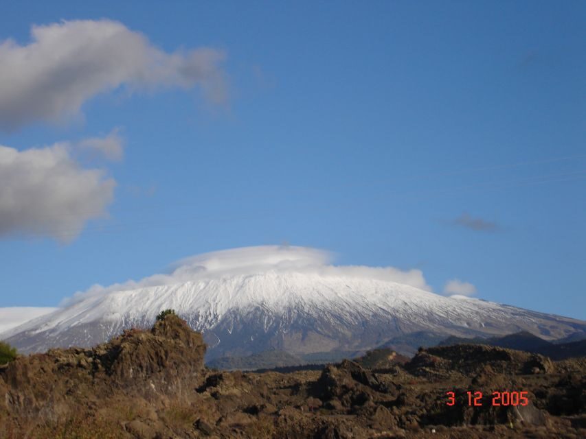 From Catania: Mount Etna Half-Day Tour and Wine Experience - Timing and Practicalities