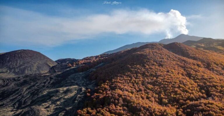 From Catania: Mt. Etna, Wine and Alcantara Tour - Practical Details and Value Considerations