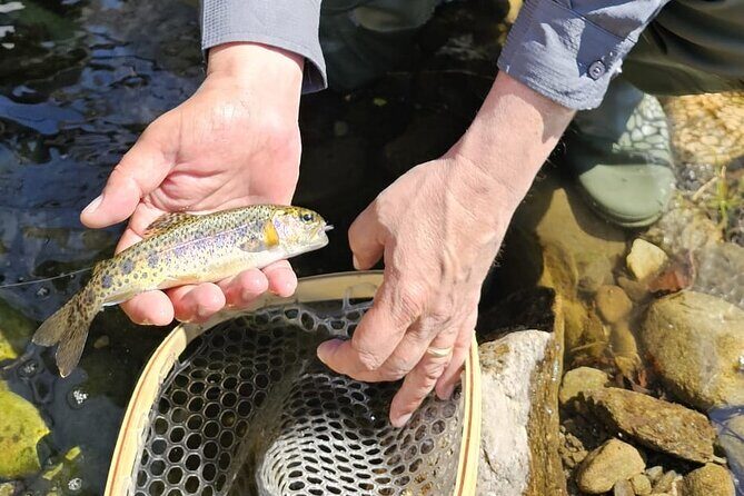 From Catania, Syracuse and Taormina: fly fishing experience - Practical Tips and Considerations