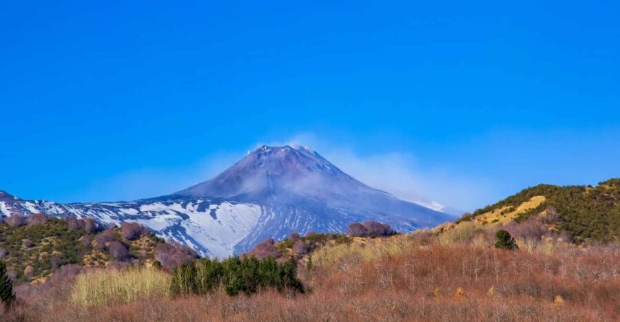 From Catania/Taormina: Mount Etna Private Wine Tasting Tour - Authentic Experiences and What Travelers Say