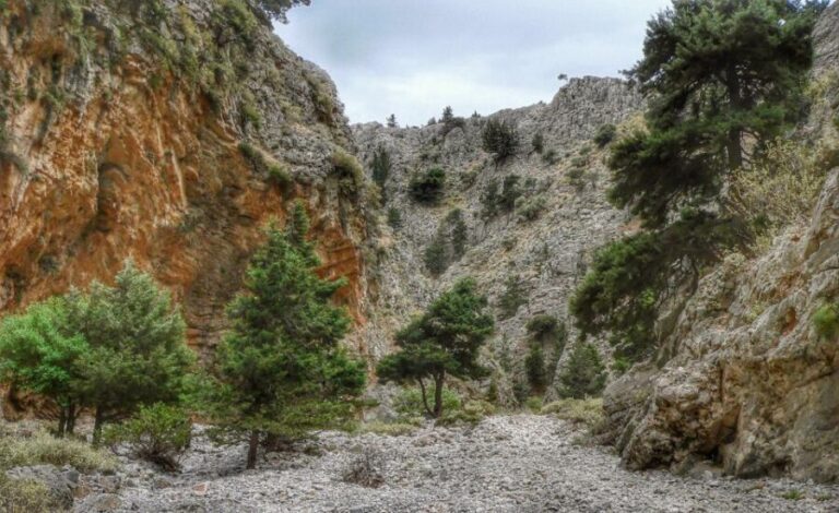 From Chania/Almyrida : Imbros Gorge Hike - FAQ