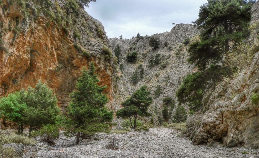 From Chania/Almyrida : Imbros Gorge Hike - FAQ