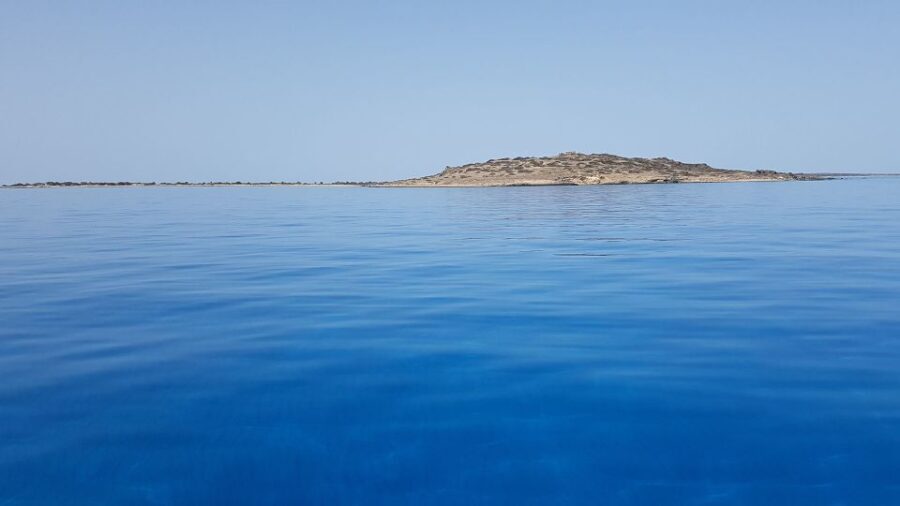 From Chania Area: Day Trip to Elafonisi Island by Bus - What Travelers Can Expect