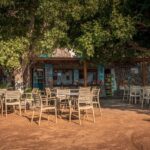 From Chania: Day Trip to Preveli Beach & Damnoni Beach - The Itinerary in Detail