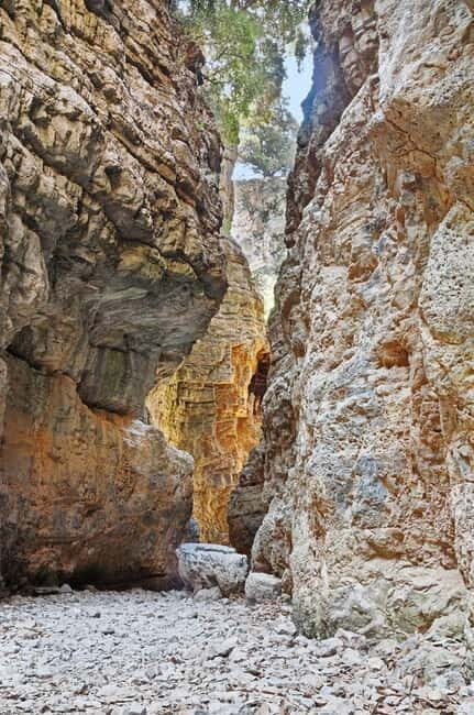 From Chania: Imbros Gorge and Sfakia Experience Hike & Swim - The Itinerary in Detail