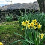From Chester: Lake District Full-Day Guided Sightseeing Tour - What Makes This Tour Special