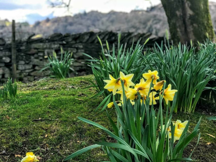From Chester: Lake District Full-Day Guided Sightseeing Tour - What Makes This Tour Special