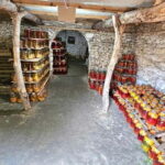 From Chisinau: Old Orhei complex and Cricova Wine Tasting - Personal and Authentic Experiences