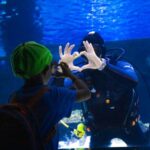 From City of Side: Antalya Aquarium Tour, Ticket & Transfer - The Practical Side: What Travelers Can Expect