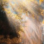 From City of Side: Sapadere Canyon Tour with Pickup & Lunch - Authentic Experiences and What Travelers Love
