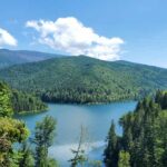From Cluj: Mountain Bike around Lake Dragan - Who Is This Tour Perfect For?