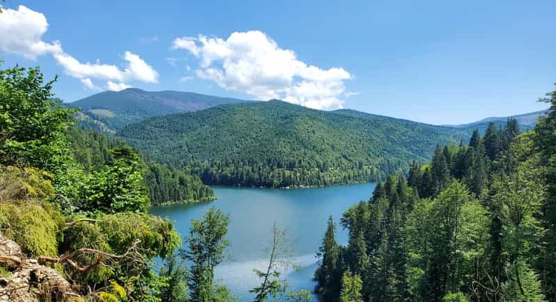 From Cluj: Mountain Bike around Lake Dragan - Who Is This Tour Perfect For?