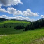 From Cluj-Napoca: Carpathian Mountains Guided Scenic Hike - Why This Tour Stands Out