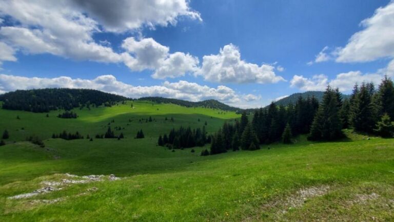 From Cluj-Napoca: Carpathian Mountains Guided Scenic Hike - Why This Tour Stands Out
