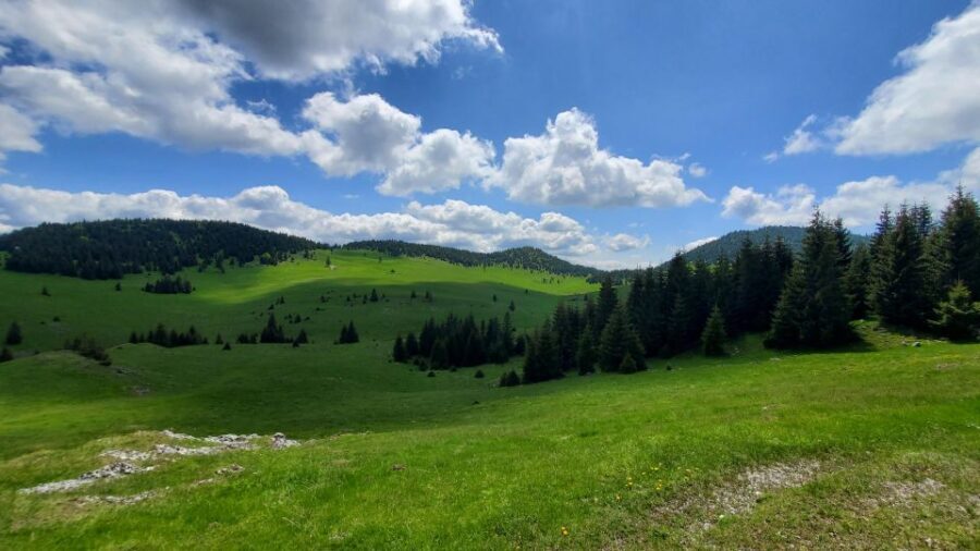 From Cluj-Napoca: Carpathian Mountains Guided Scenic Hike - Why This Tour Stands Out