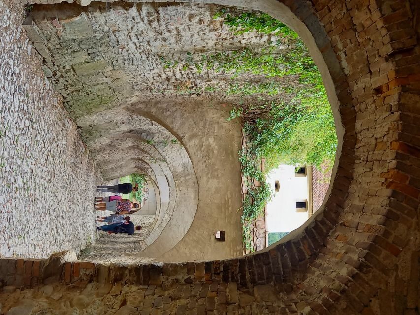 From Cluj: Sighioara and Church of Biertan Guided Tour - A Deep Dive into the Experience