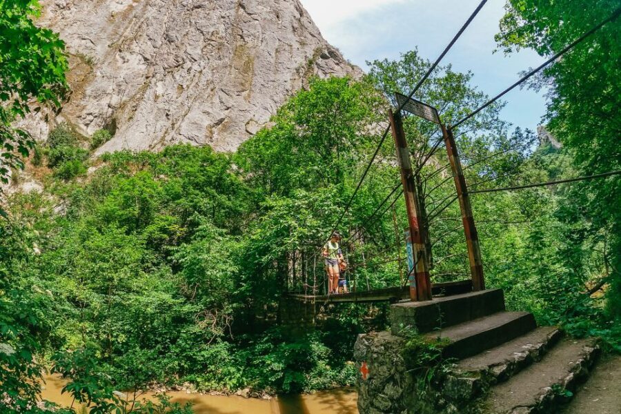 From Cluj: Turda Salt Mine, Gorge, and Remetea Full-Day Trip - The Highlights in Detail