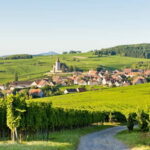 From Colmar: Alsace Villages Tour and Wine Tasting - A Closer Look at the Itinerary and Its Value