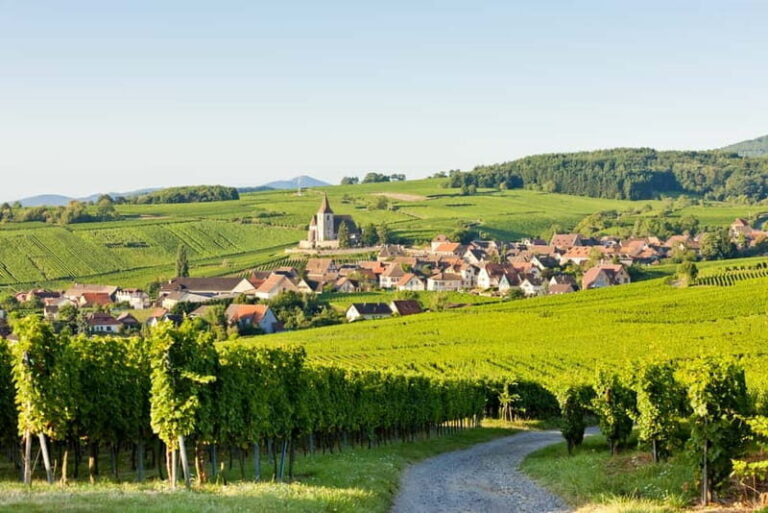 From Colmar: Alsace Villages Tour and Wine Tasting - A Closer Look at the Itinerary and Its Value