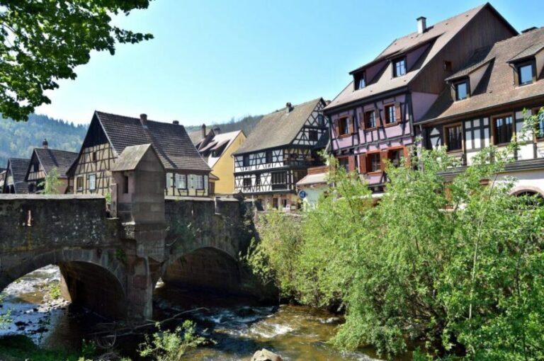 From Colmar: Alsace wine route tour Full Day - Why This Tour Stands Out