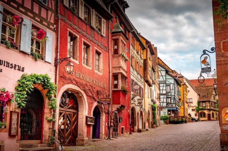 From Colmar: Alsace wine route tour Half Day - The Experience: What It’s Like in Practice