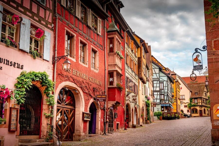 From Colmar: Alsace wine route tour Half Day - The Experience: What It’s Like in Practice