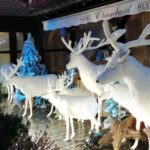 From Colmar: Christmas Markets Across 3 Borders - Transportation & Group Size
